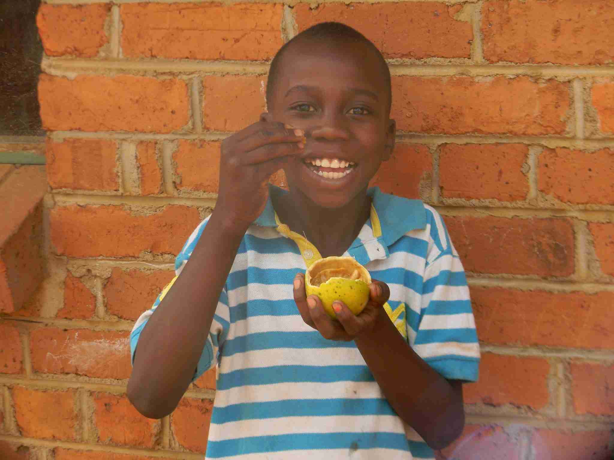 Dietary Diversity with Indigenous ‘Super’ Fruits - Odyssey Magazine