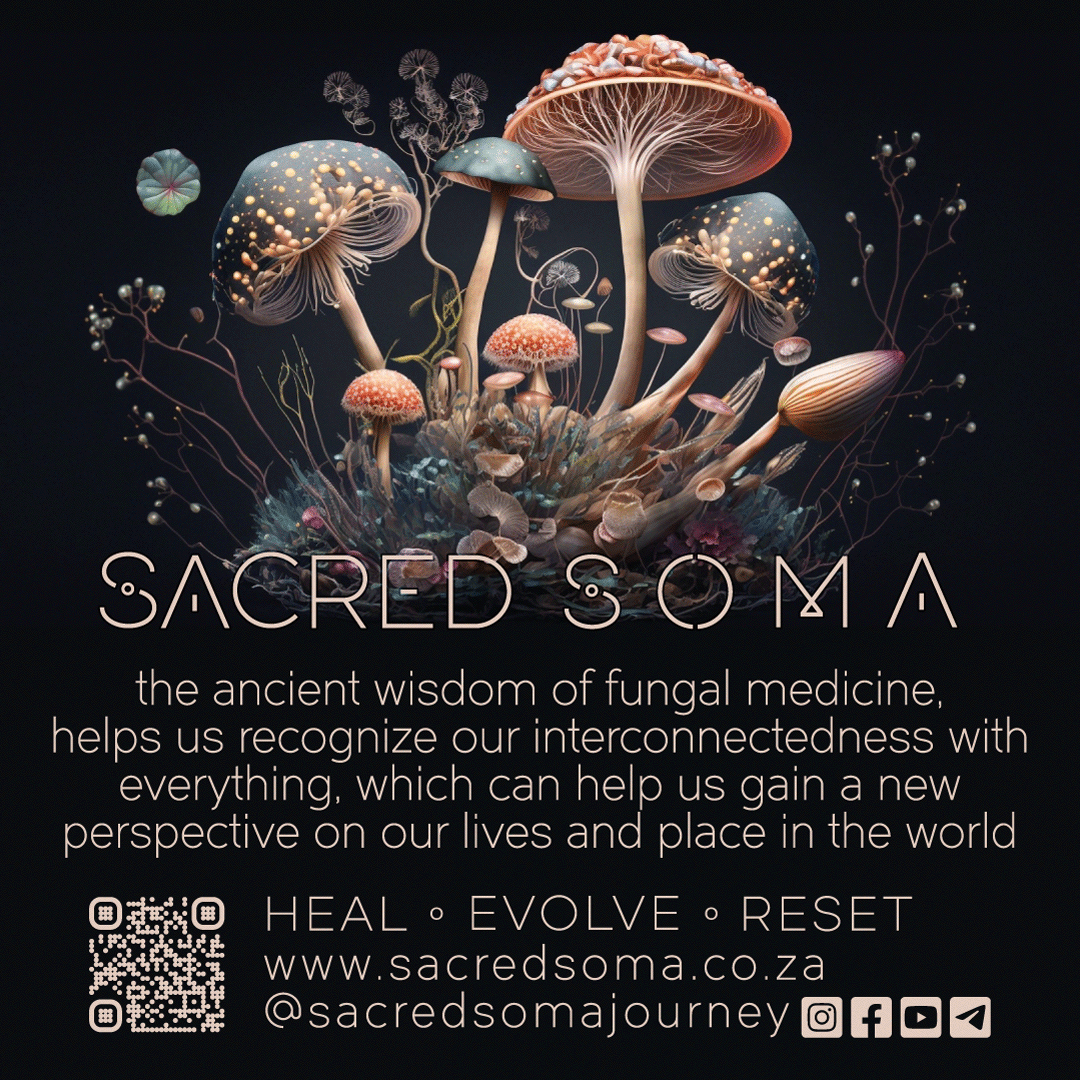 Emotions - the amygdala and neocortex - Odyssey Magazine