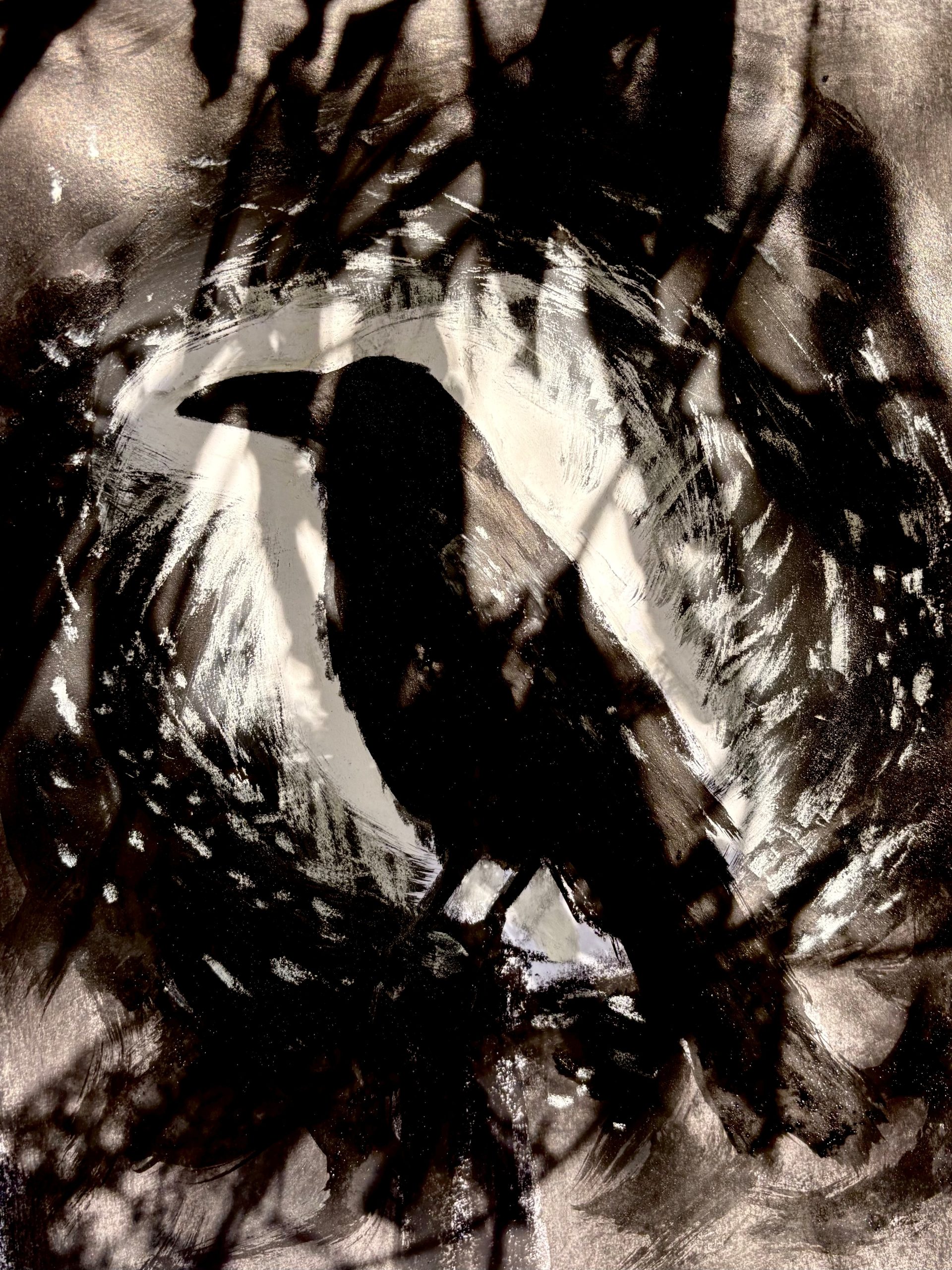 The Circle of the Crow - Odyssey Magazine